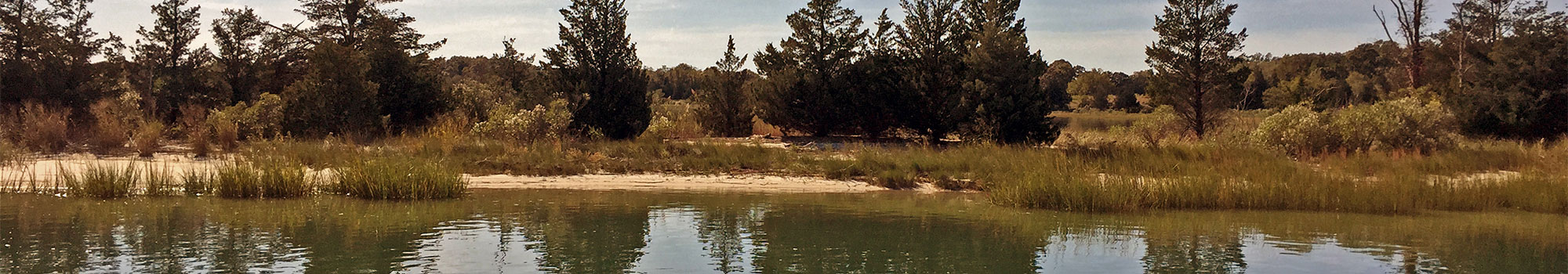 Fuji Clean System Maintenance - Septic Tank Upgrade Service